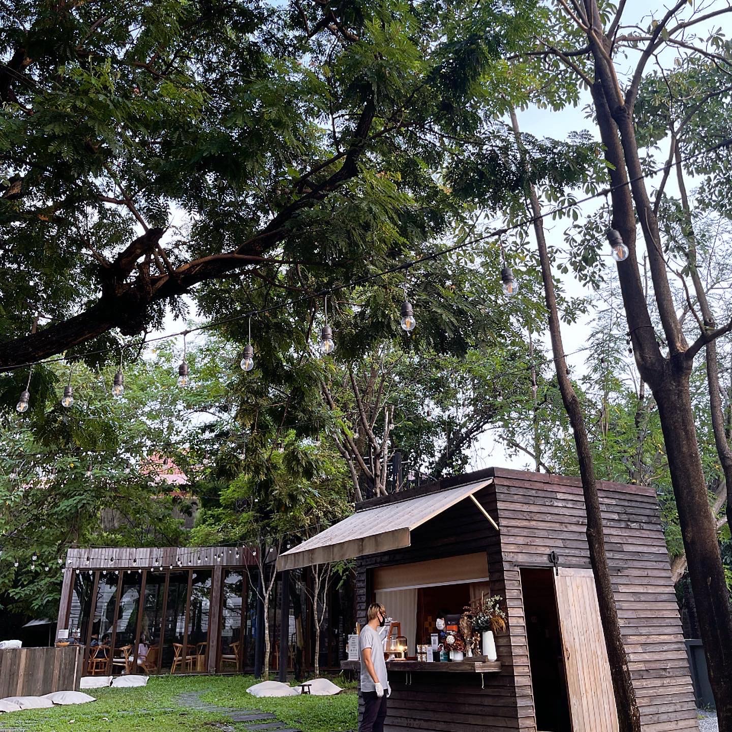 THE WOOD LAND