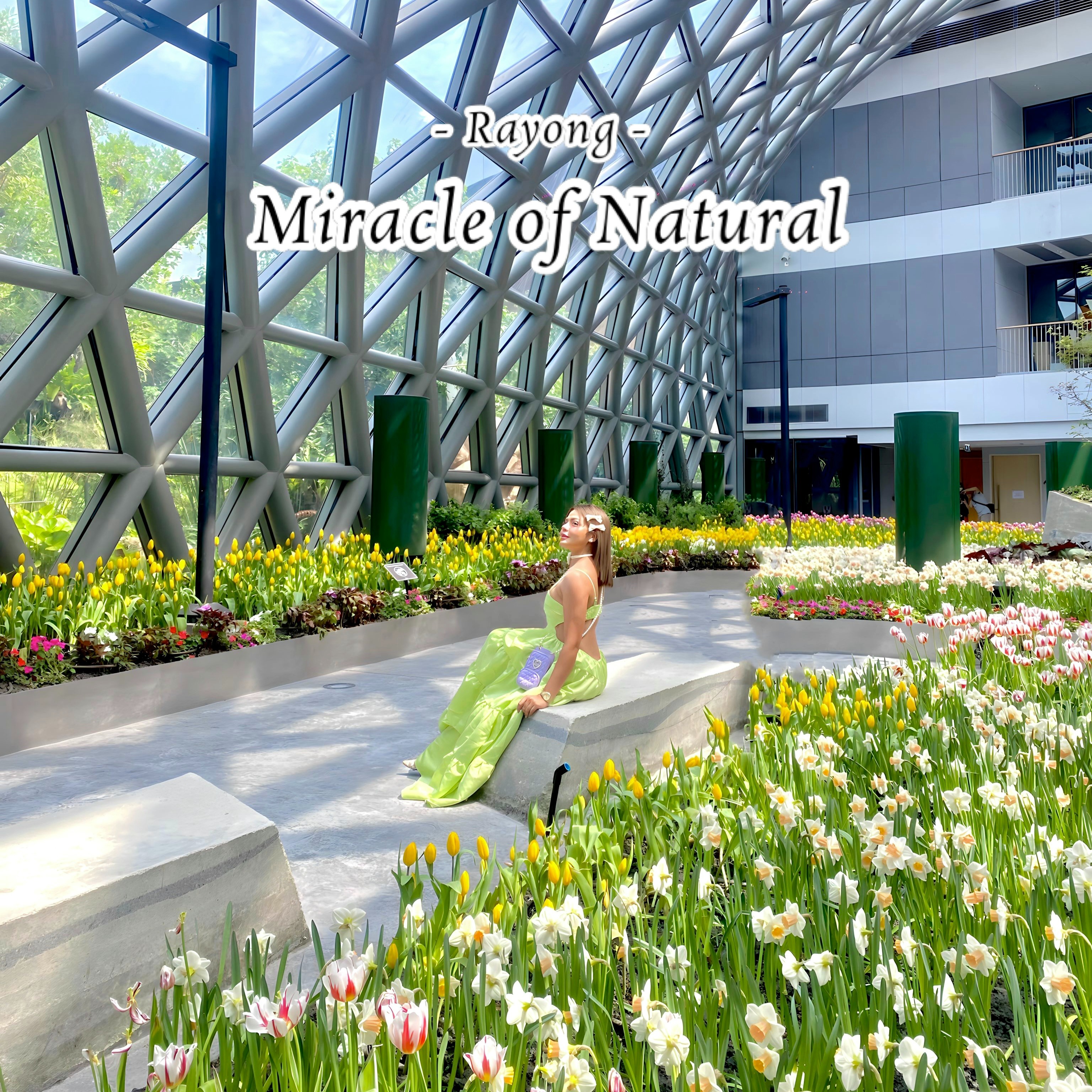 Miracle of Natural จ.ระยอง