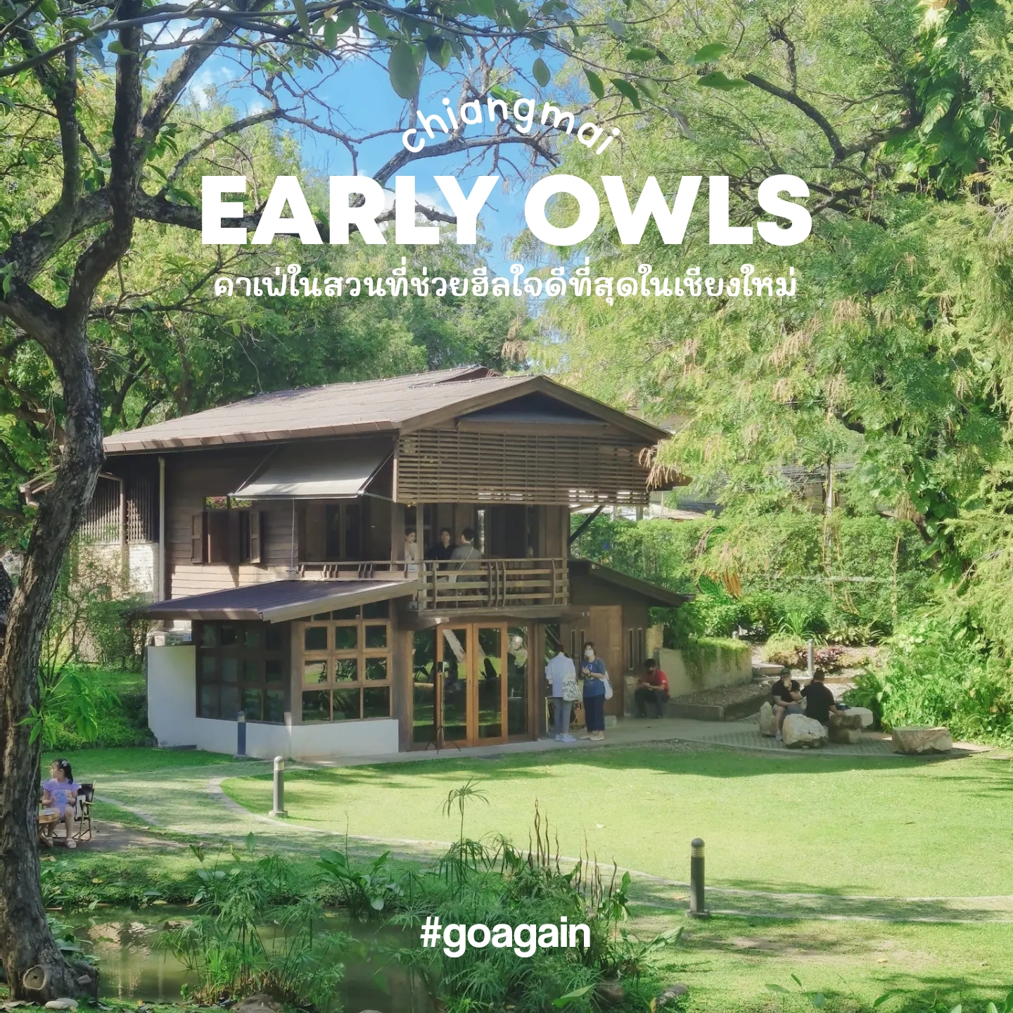 Early Owls เชียงใหม่