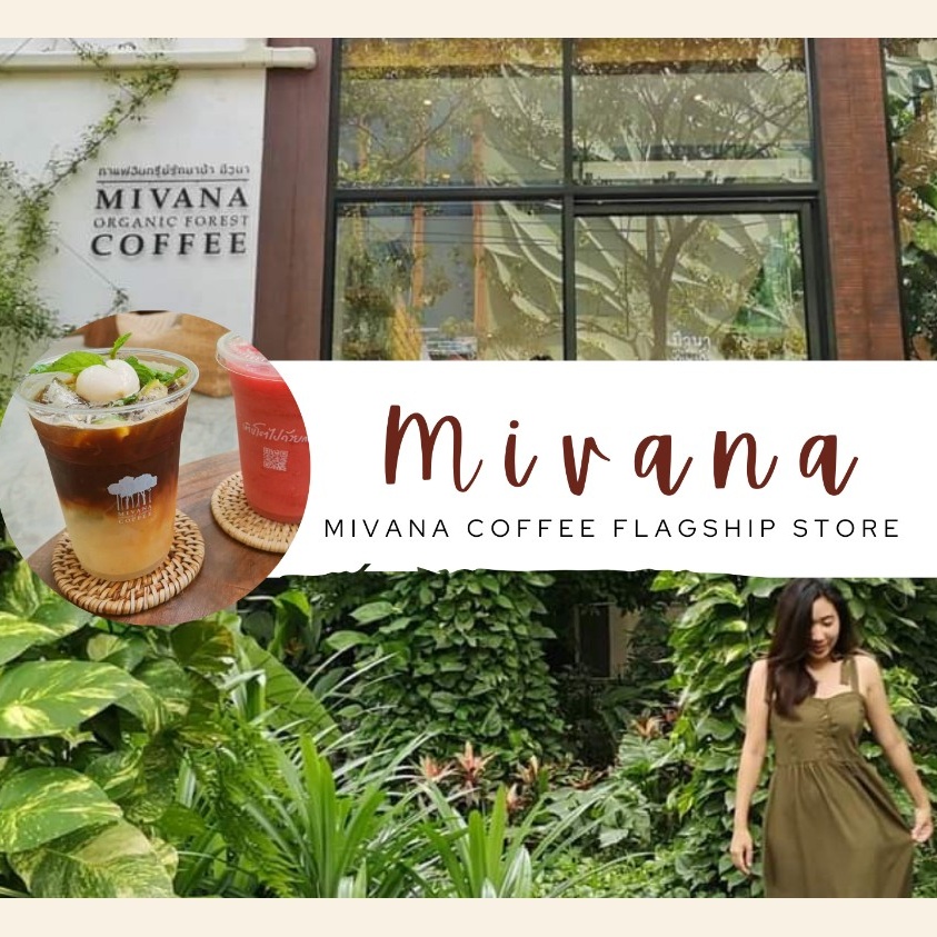 Mivana Coffee Flagship Store คาเฟ่ ฟีลป่าใหญ่ในกรุง