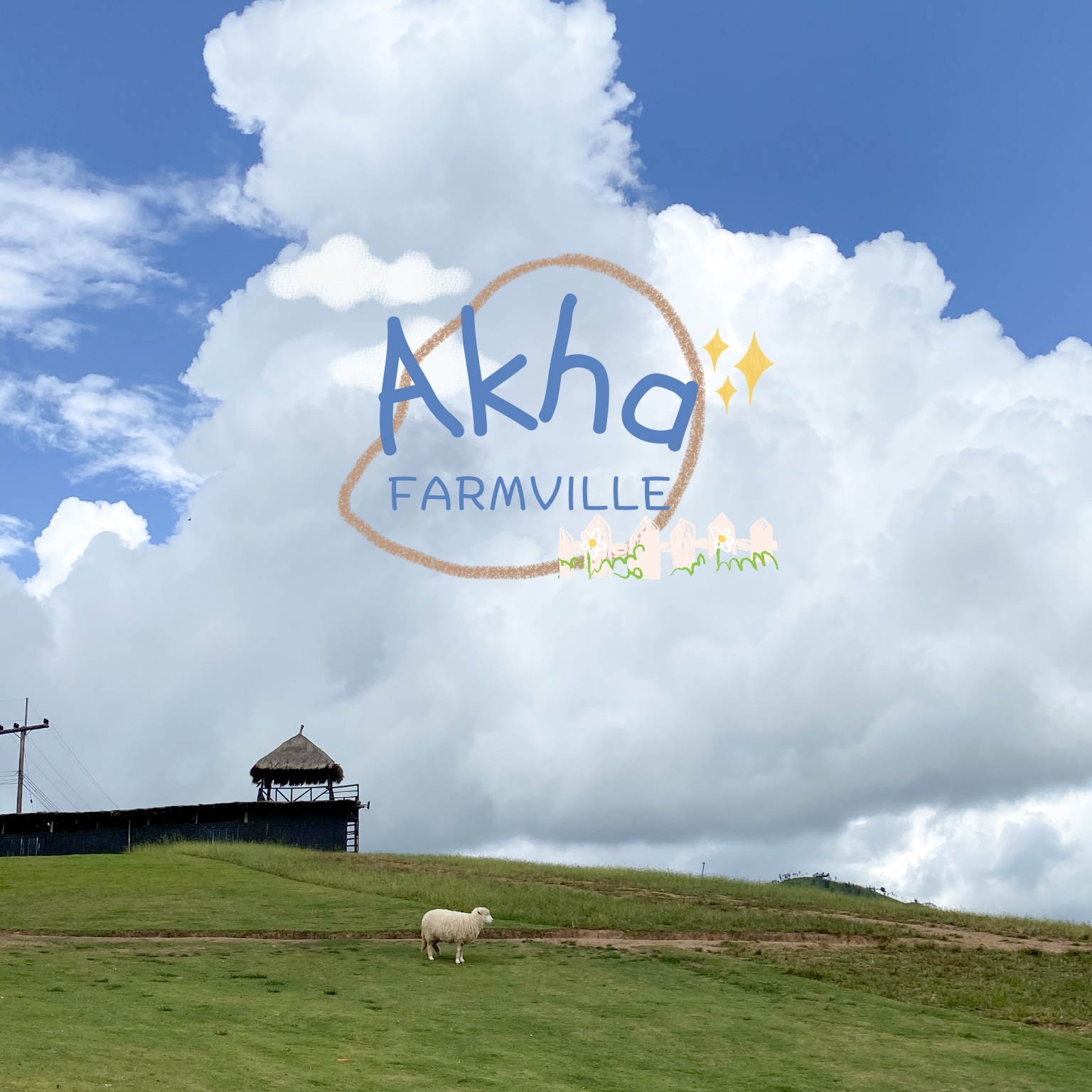 รับบทเด็กเลี้ยงแกะที่ akha farmville🐑