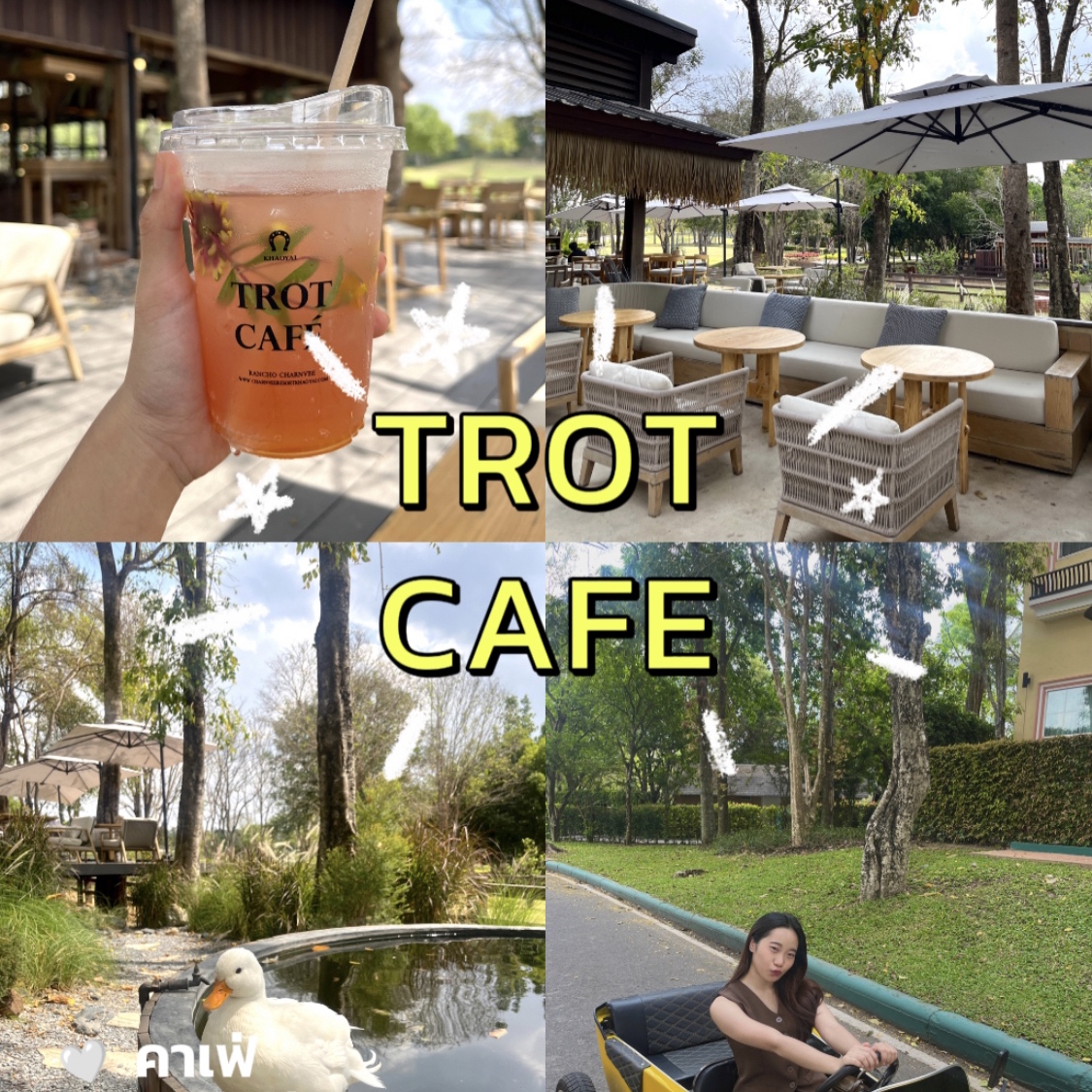 TROT CAFE จุดเช็คอินใหม่เขาใหญ่