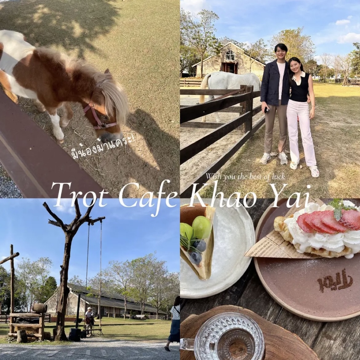 เล่นกับน้อนม้าแคระที่ Trot Cafe เขาใหญ่ คาเฟ่ฟีลโรงนา🐴