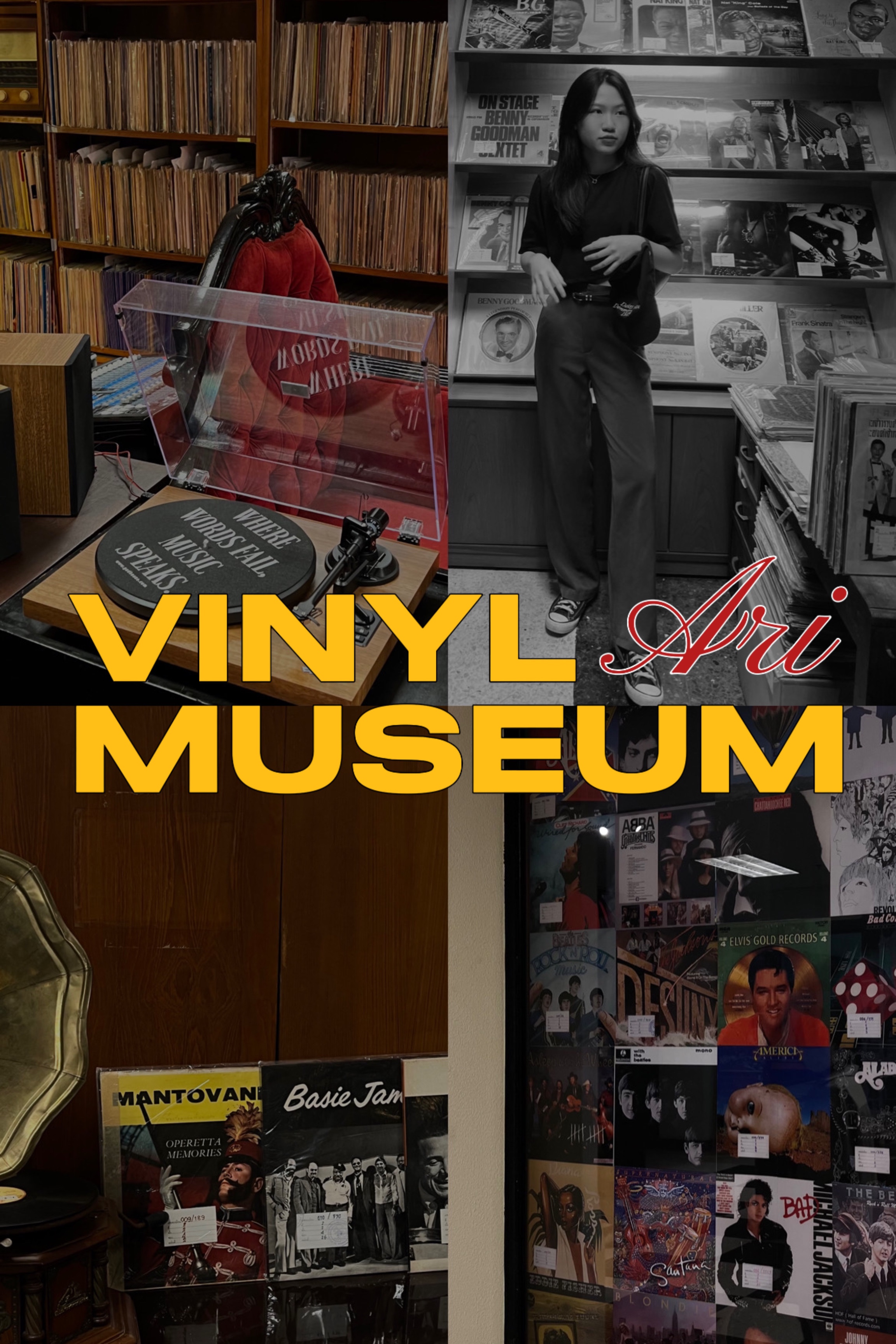 Vinyl Museum @ARI 🎞️💿♥️
