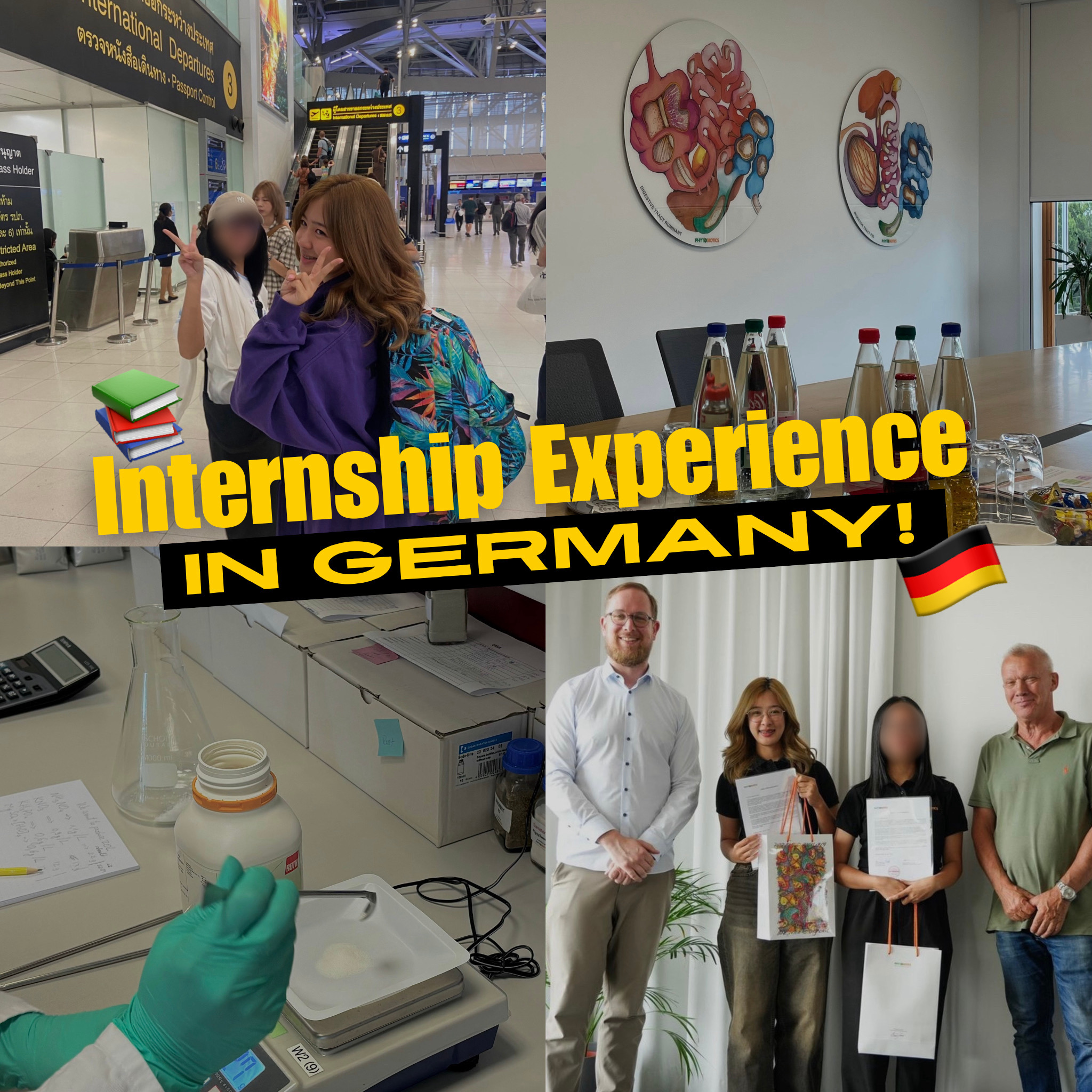 Internship Experience in Germany! 🇩🇪