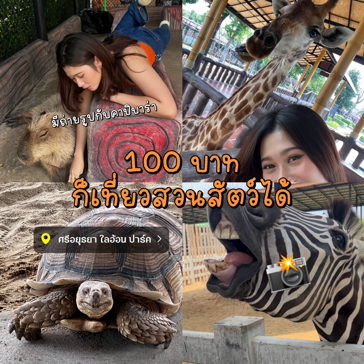 100 บาทก็เที่ยวสวนสัตว์ได้ 🚗