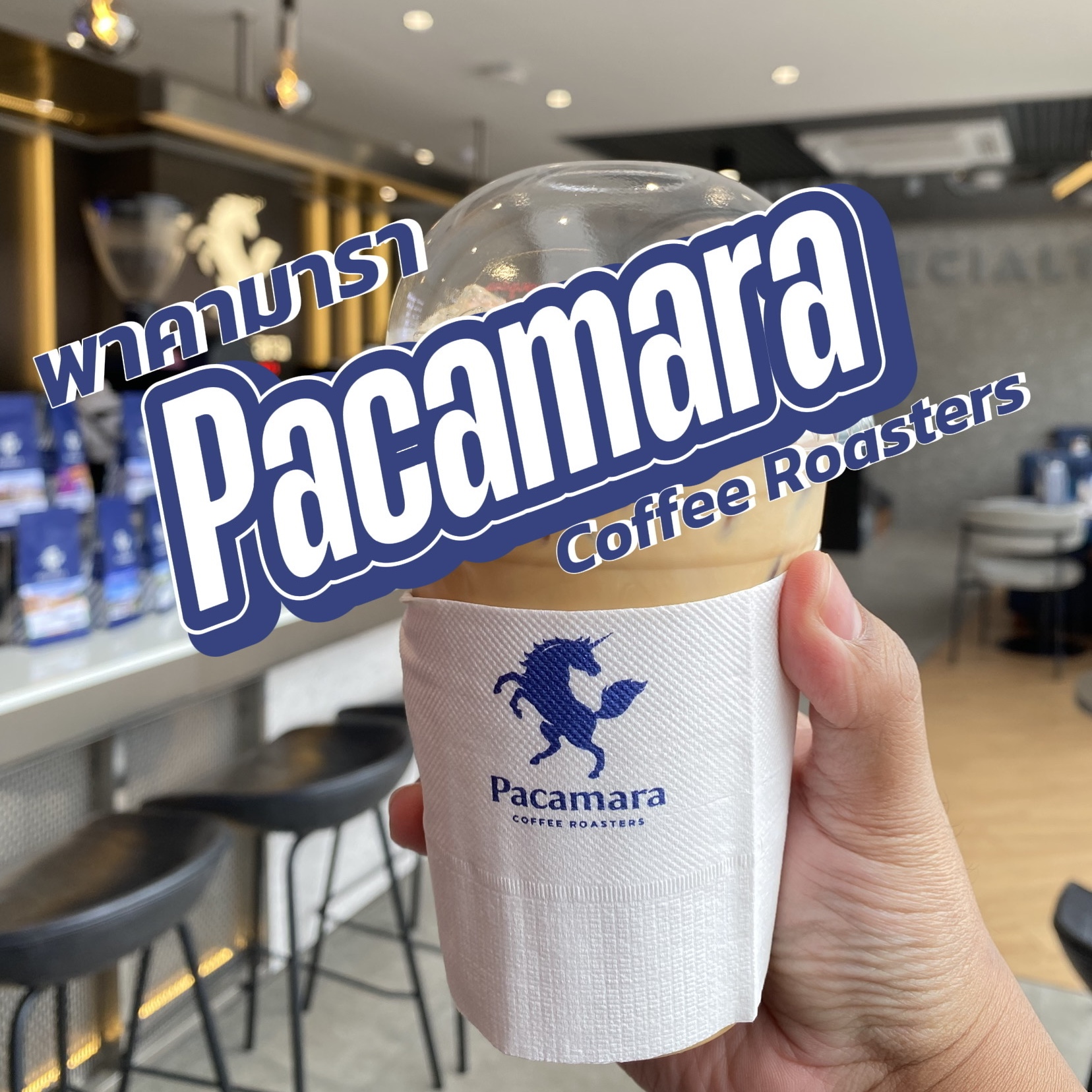 Pacamara