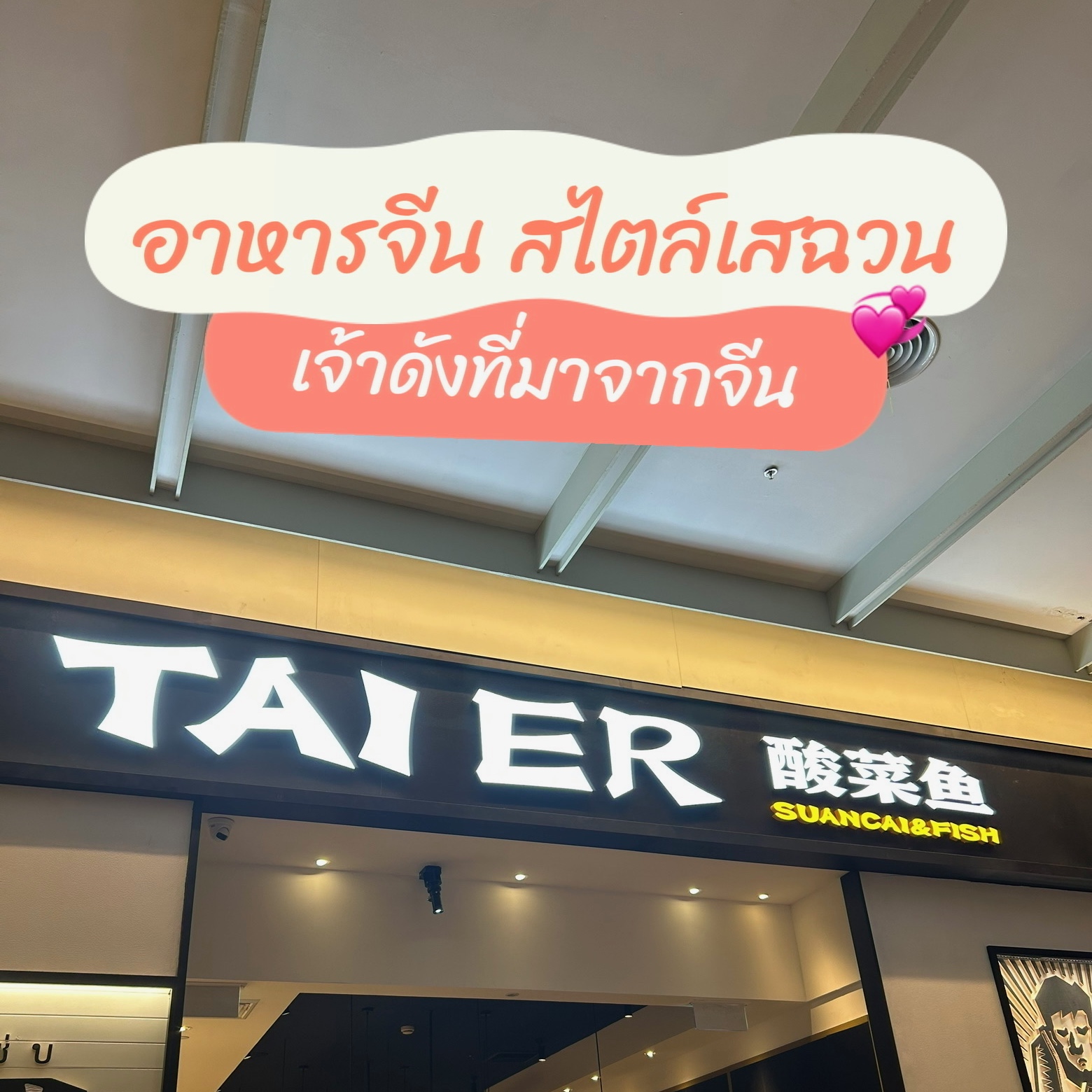 Taier 🥢 อาหารจีน สไตล์เสฉวน บุกไทยแล้ววว
