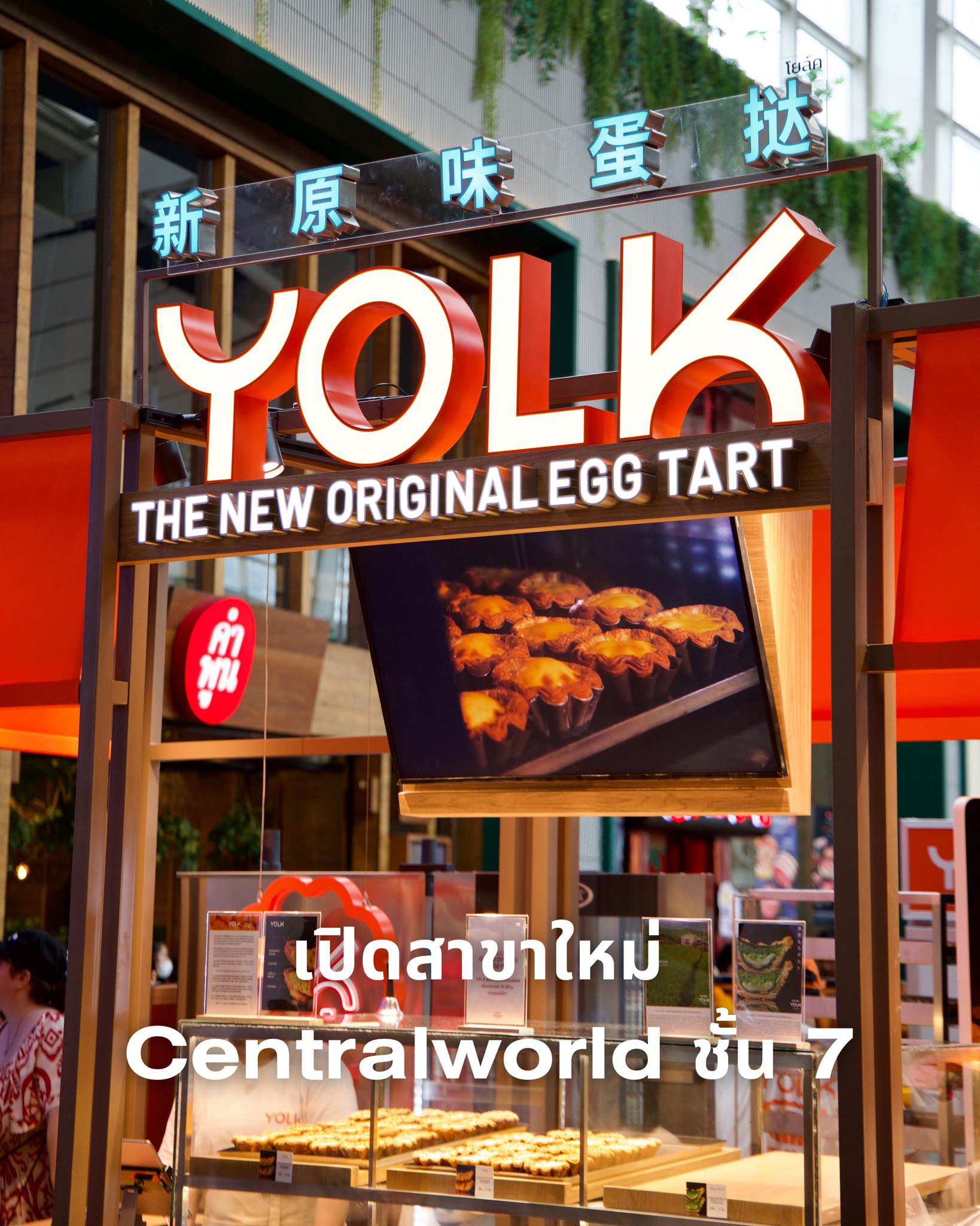 YOLK