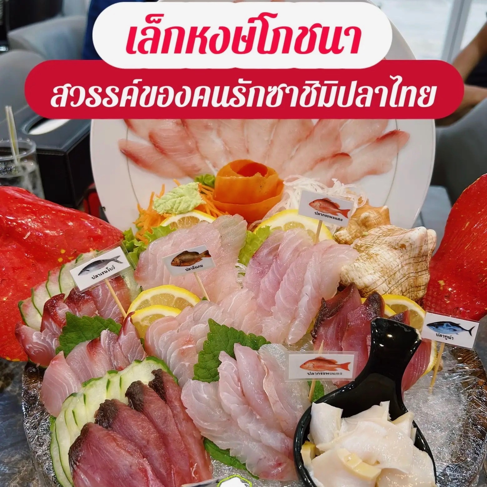 🐟🍲 เล็กหงษ์โภชนา สวรรค์ของคนรักซาชิมิปลาไทย